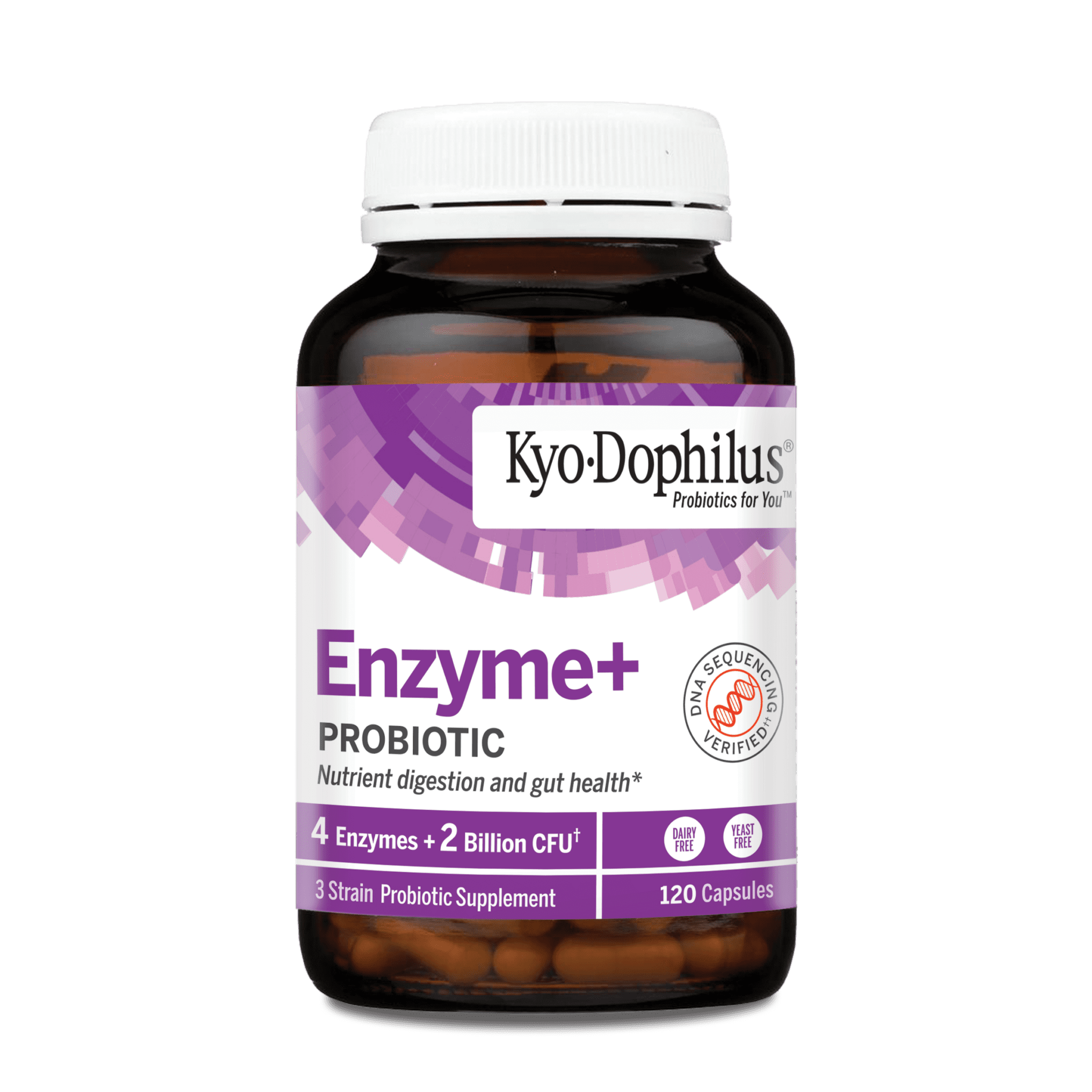 Enzyme+ Probiotic | Key Digestive Enzymes | Regulate Healthy Bacteria